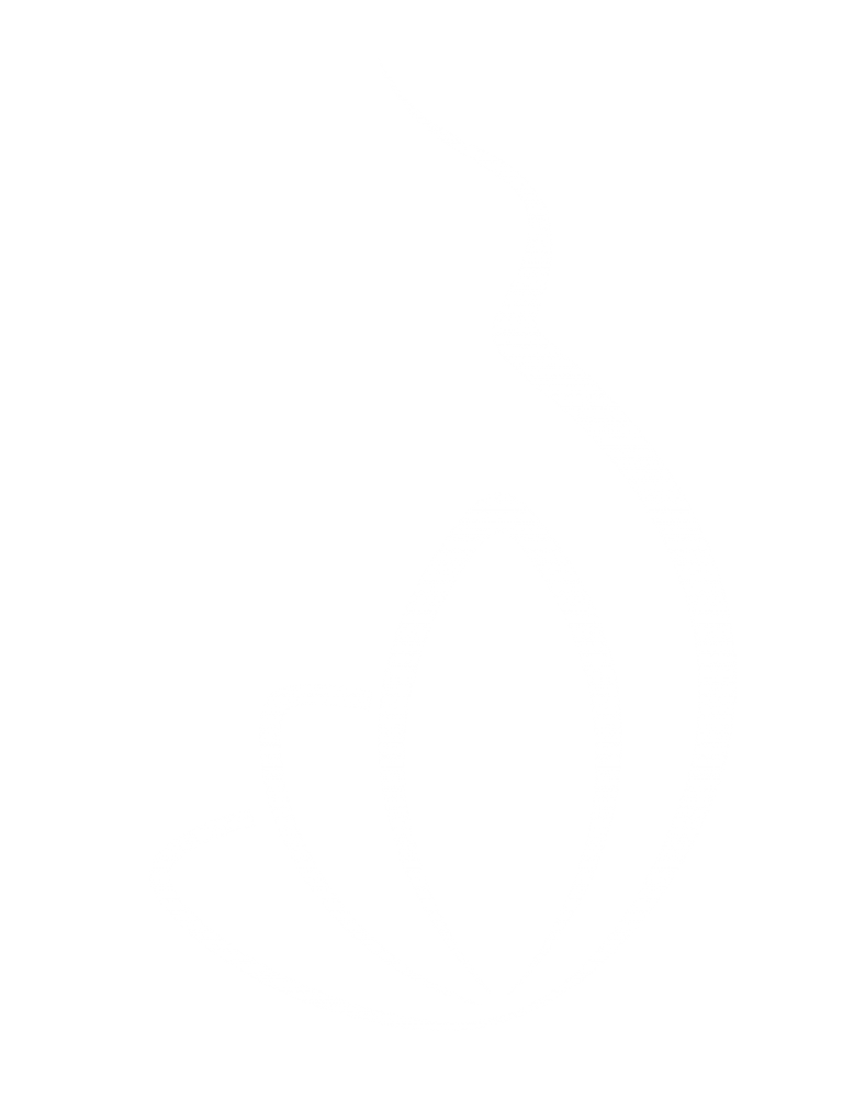 Virtual – The Lotus Method